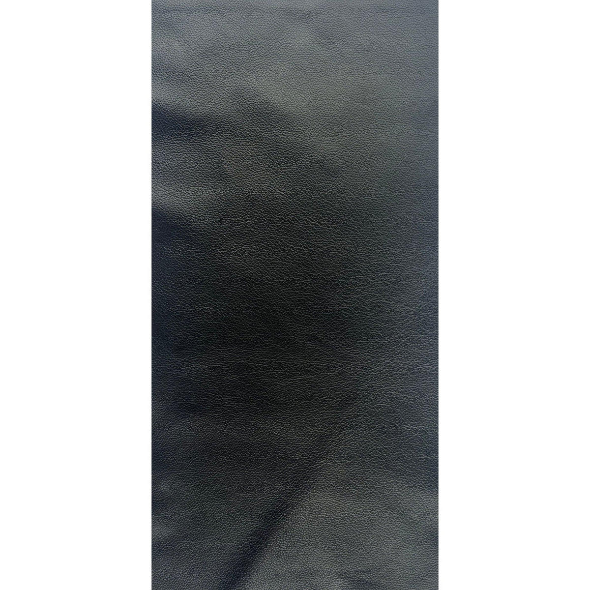 Fendi Night – Great Blue Heron Furniture